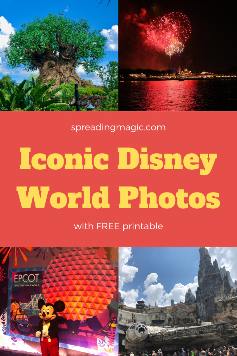 Complete List of Iconic Disney World Photos You Need to Take on Vacation