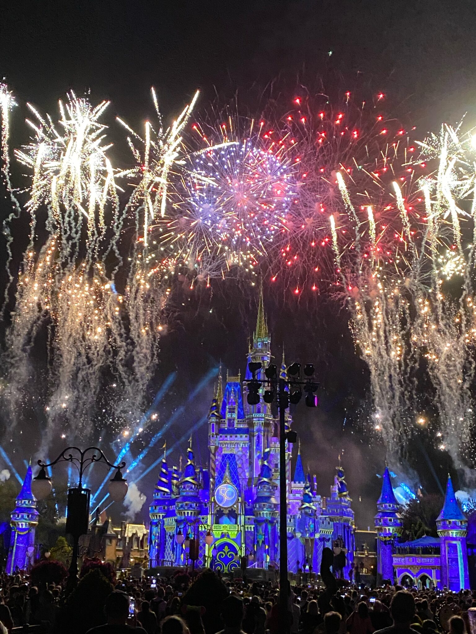22 Reasons to Visit Disney World in 2022 - Spreading Magic