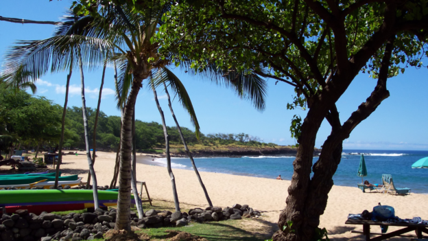 Top 10 Reasons Why Maui is a Bucket List Honeymoon Destination